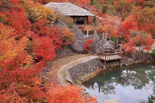 지리산 단풍 관광열차 운행내달 10일 호계역에서 출발코레일 부산경남본부 태화강역